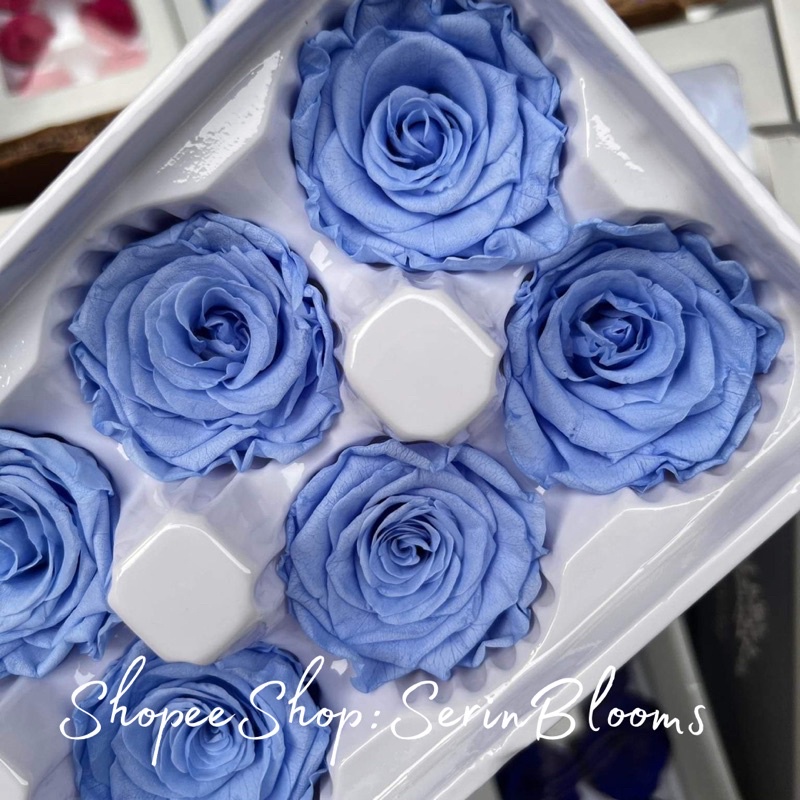 Real Preserved Rose sold per head | Shopee Philippines