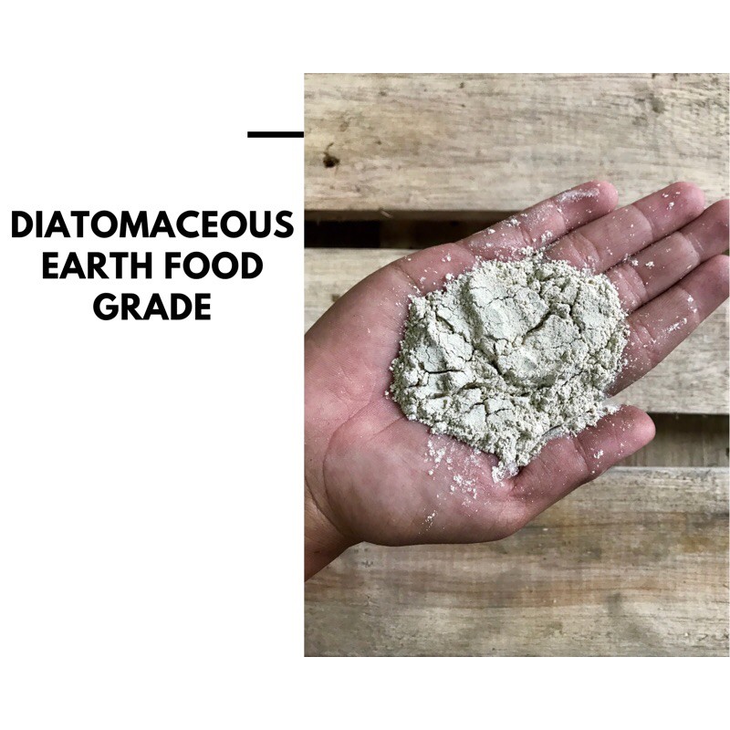 D.E- Diatomaceous Earth Food Grade (1kg) | Shopee Philippines