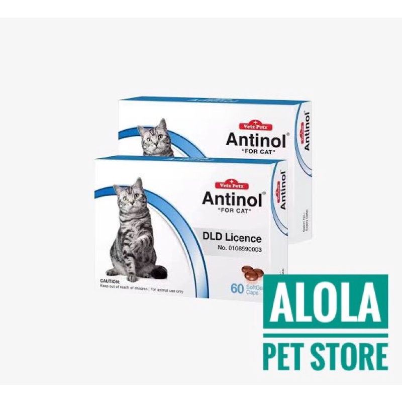 Joint Supplement And Reduce Inflammatory EXP 04/2024 For Cats 60 ...