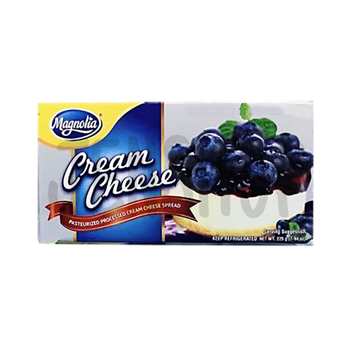 Magnolia Cream Cheese Spread 225 grams | Shopee Philippines