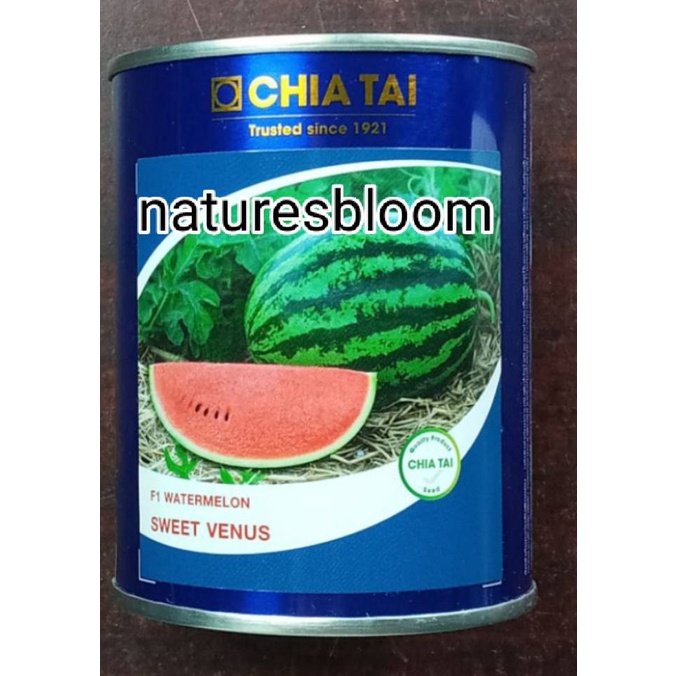 SWEET VENUS F1 HYBRID WATERMELON SEEDS 50 GRAMS (CHAI TAI) | Shopee ...