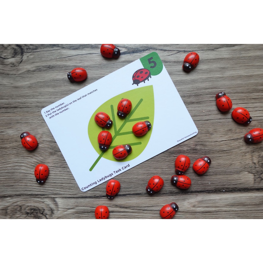 Math: Wooden Ladybugs Counting Manipulatives | Shopee Philippines Math: Wooden Ladybugs Counting Manipulatives | Shopee Philippines