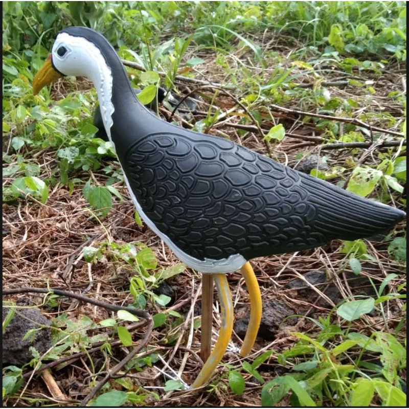 Jontrot KAREO Bird Lure Waterproof | Shopee Philippines