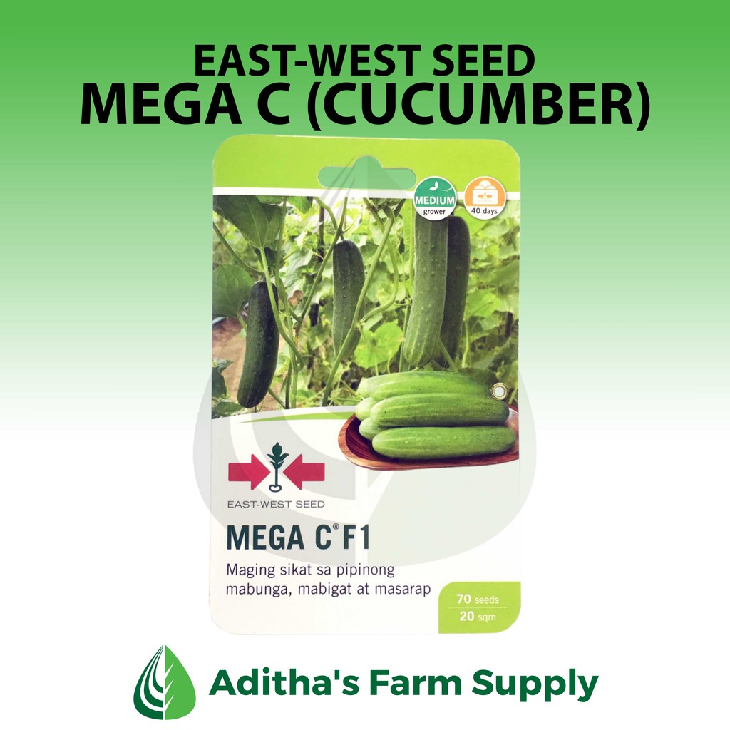 East-West Seed - Mega C F1 Cucumber (Pipino) | Shopee Philippines