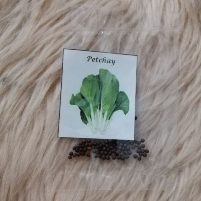Pechay 50Seeds/100Seeds | Shopee Philippines