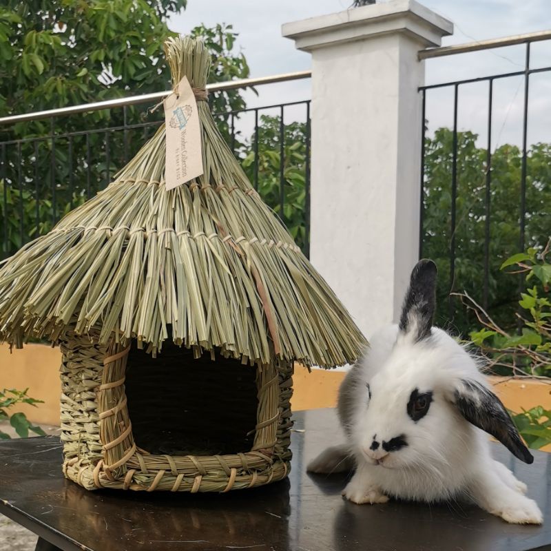 Binky Bugs Woven Grass Bahay Kubo for Birds, Rabbit, Guinea Pig or Cat ...