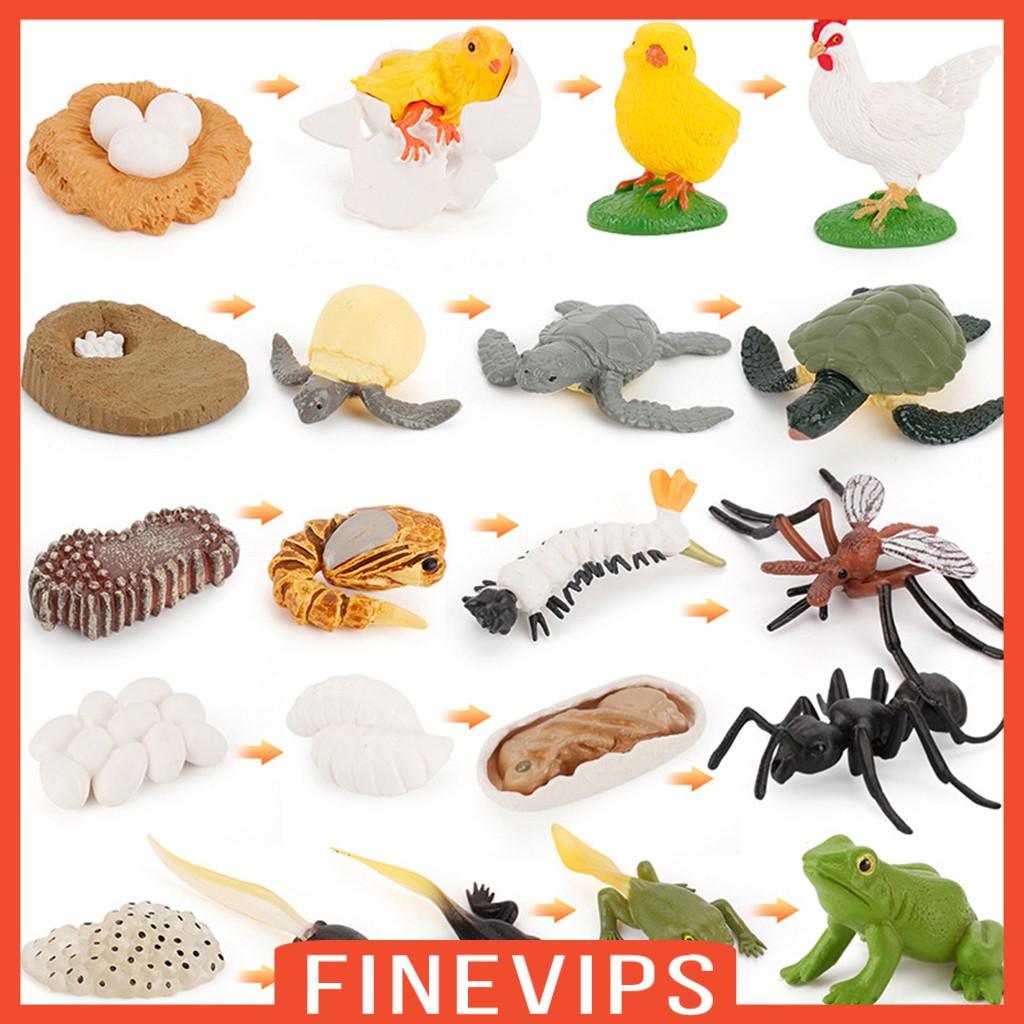 FinevipsEarly Kids Toddlers Simulation Animals Growth Cycle Toy Pretend ...