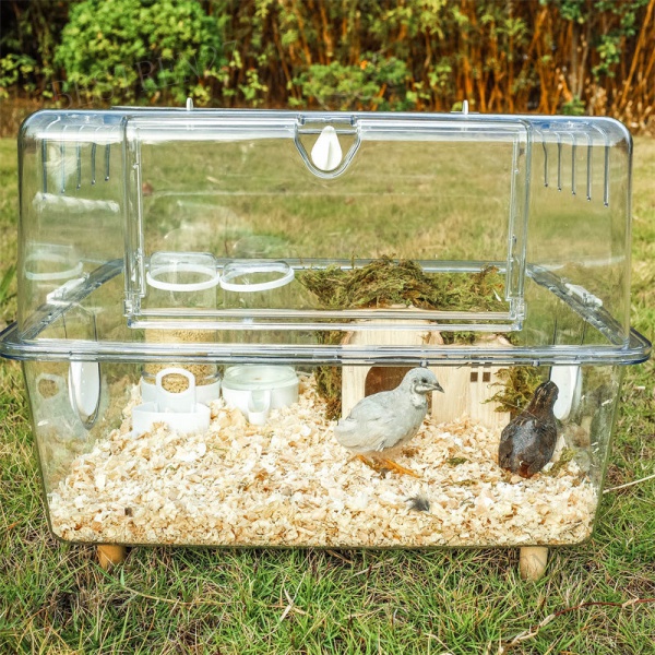 READY STOCK Hamster Cage Acrylic Large Transparent murah large big ...