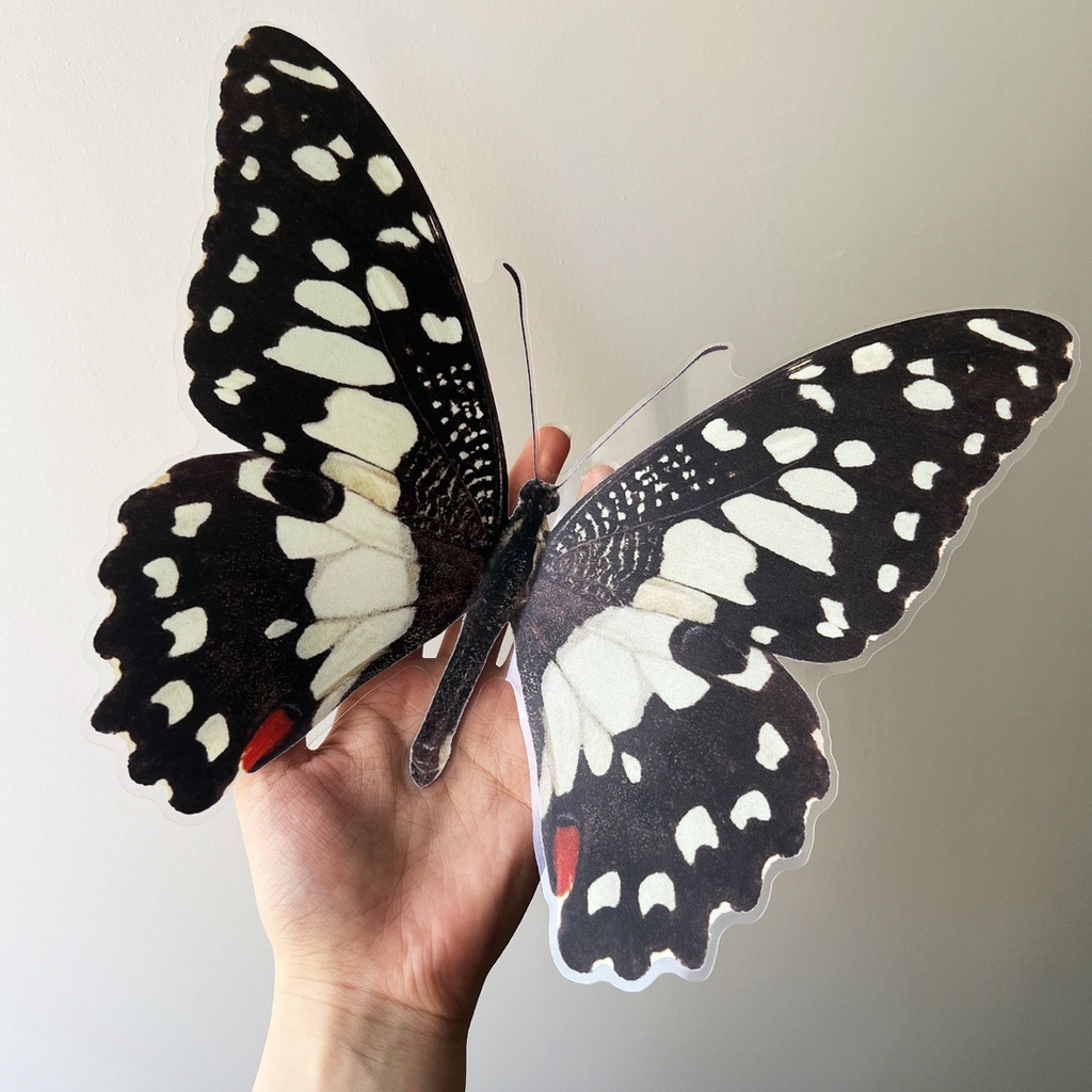 Colorful Big Butterfly Wall Stickers Living Room Bedroom Background ...