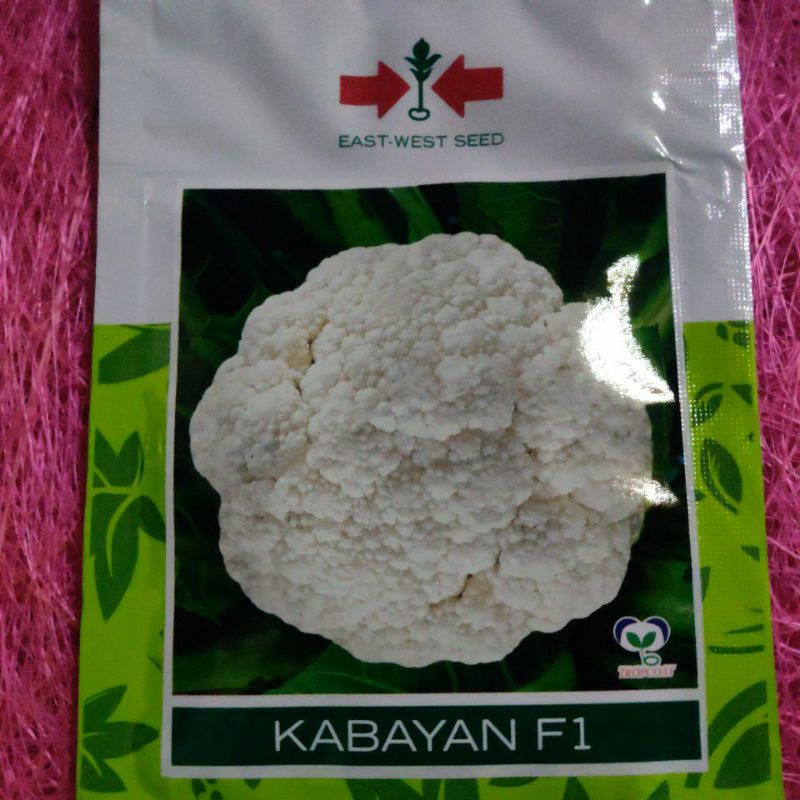 HYBRID CAULIFLOWER SEEDS KABAYAN F1 SACHET 10GRMS EAST-WEST SEEDS ...