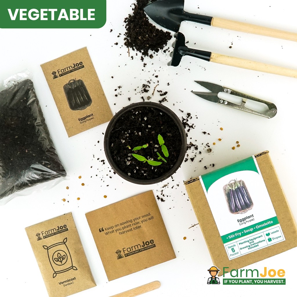 Growing Kit EGGPLANT • Seedling Kit • Seed Starting Kit • Grow Kit ...