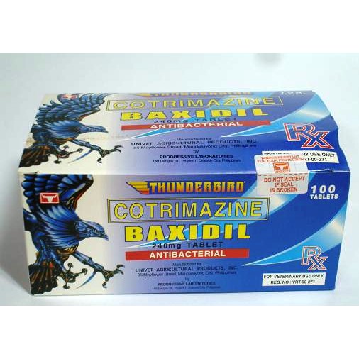 Baxidil Tablet 240 mg/ 100 tabs 1 Box | Shopee Philippines