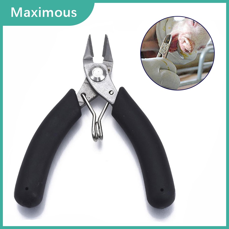 Piglet Tooth Forceps Piglet Teeth Clipper Stainless Steel Cutter Silver ... Piglet Tooth Forceps Piglet Teeth Clipper Stainless Steel Cutter Silver ...