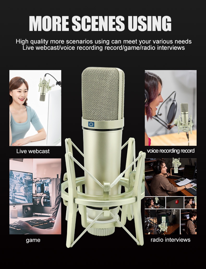 RAYHAYES Condenser microphone for professional studio Singer/microphone ...