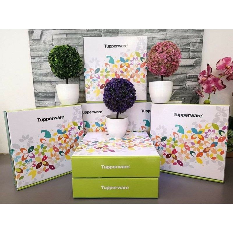 TUPPERWARE Modular Carousel | Shopee Philippines