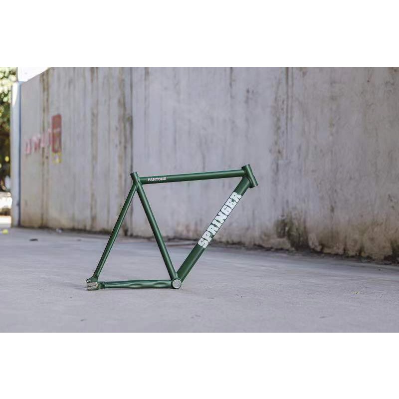 Springer Patone Track Frame (Dark Green) | Shopee Philippines