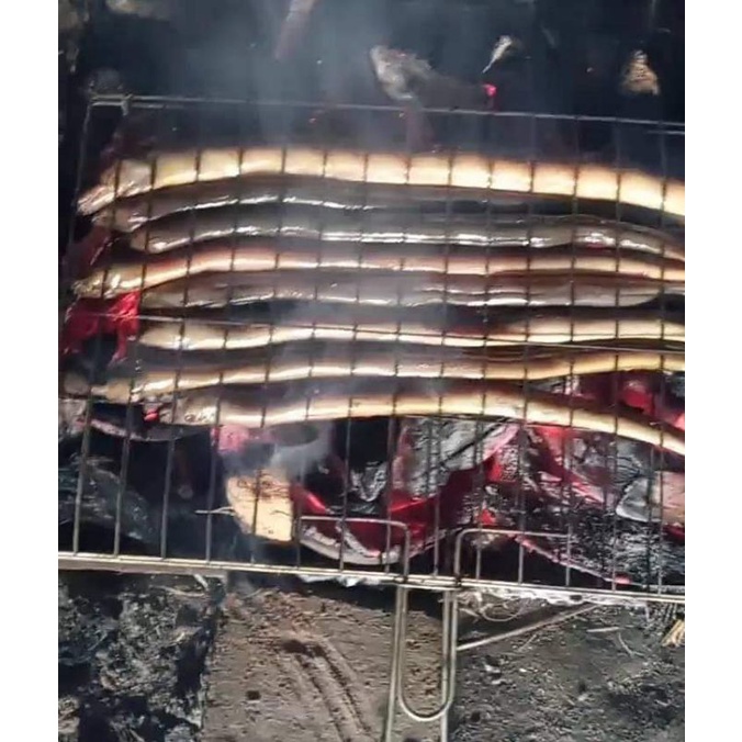 Super Eel Special Grilled Eel (1kg) | Shopee Philippines