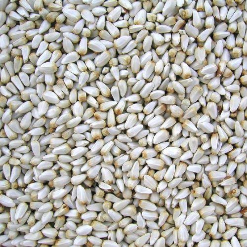 Safflower Seeds 250g/500g/1kg packed | Shopee Philippines