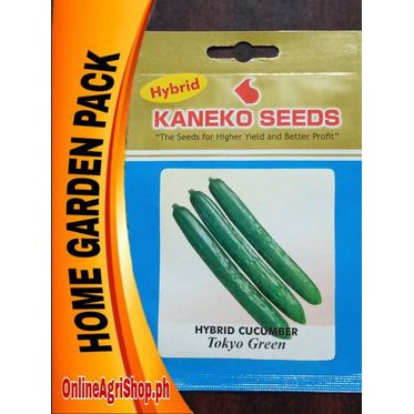 JAPANESE CUCUMBER TOKYO GREEN F1 (40SEEDS) BY KANEKO SEEDS | Shopee ...