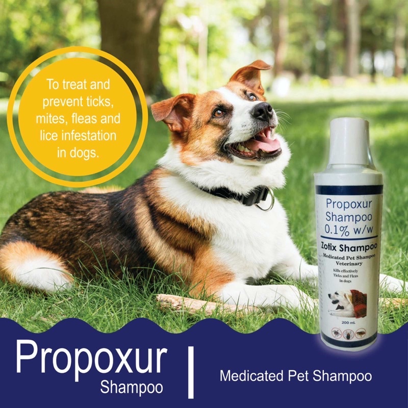 Zotix Propoxur Medicated Shampoo kills Effectively Ticks And Fleas In ...