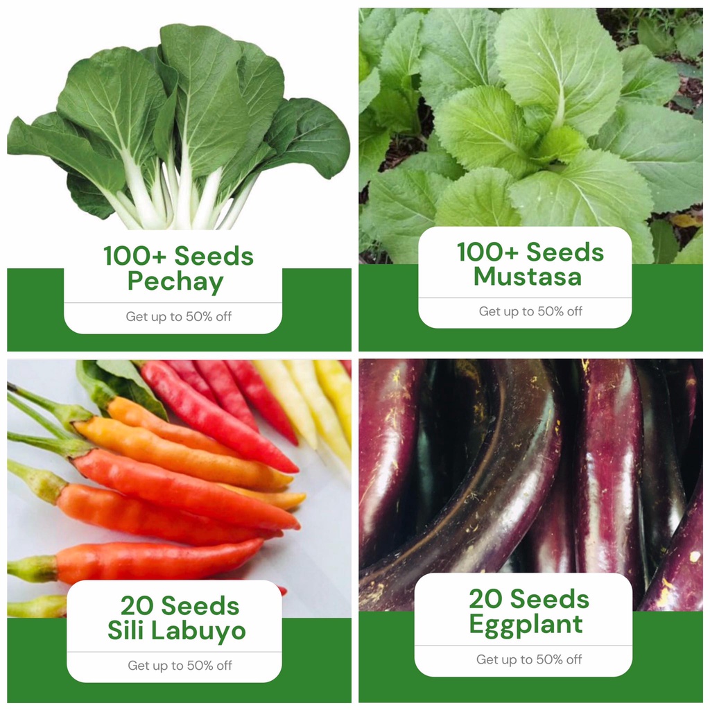 All in 4 in 1 Pack Vegetable Seeds (100 Pechay,100 Mustasa,20 Sili ...