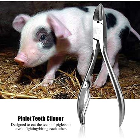 Viddavet -Stainless Steel pamputol o pambawas sa ngipin ng piglets ...