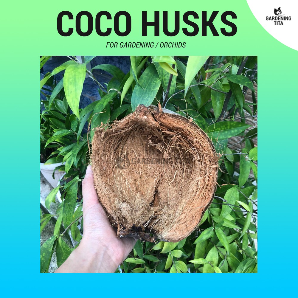 (1/2 KG) High Quality Coco Husks - For Gardening / Orchids | Shopee Philippines