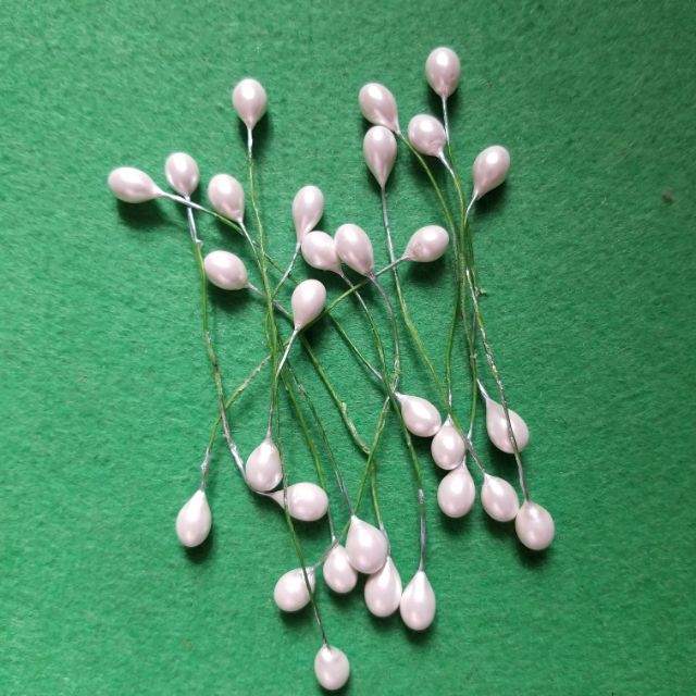 Big stamen (15 pcs per bundle) | Shopee Philippines