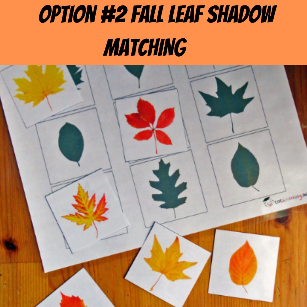 Shadow Matching Activities by Totschooling (with Velcro) | Shadow ...