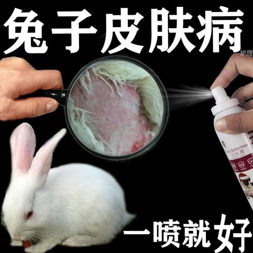 Rabbit Skin Disease Medicine Mites Fungal Infection Hair Removal ...