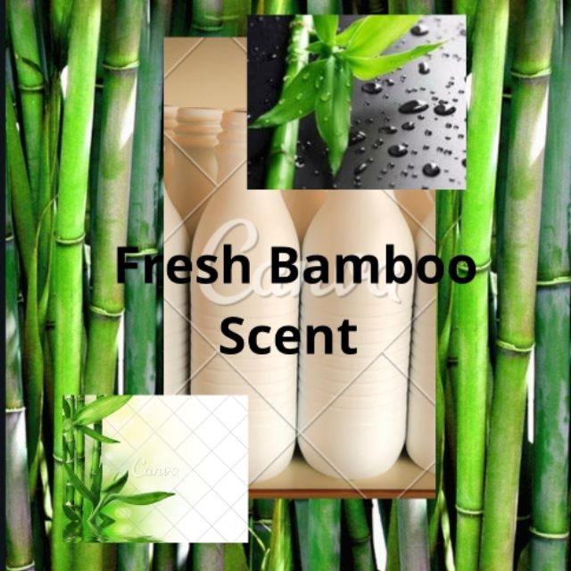 Fragrance Oil - Fresh Bamboo scent | Shopee Philippines