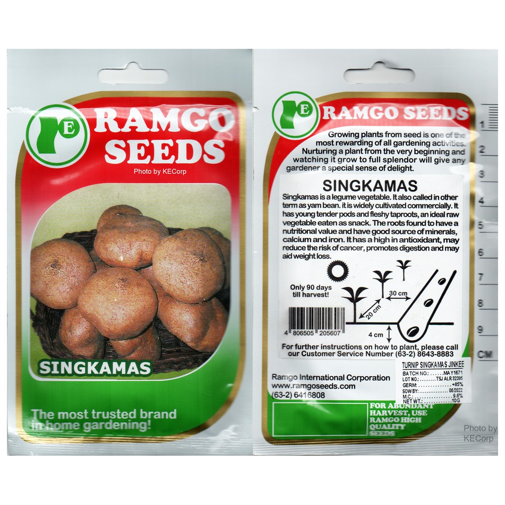 Ramgo Seeds - Sold Per Pack Per Variety - Pakchoi Bell Pepper Carrot ...