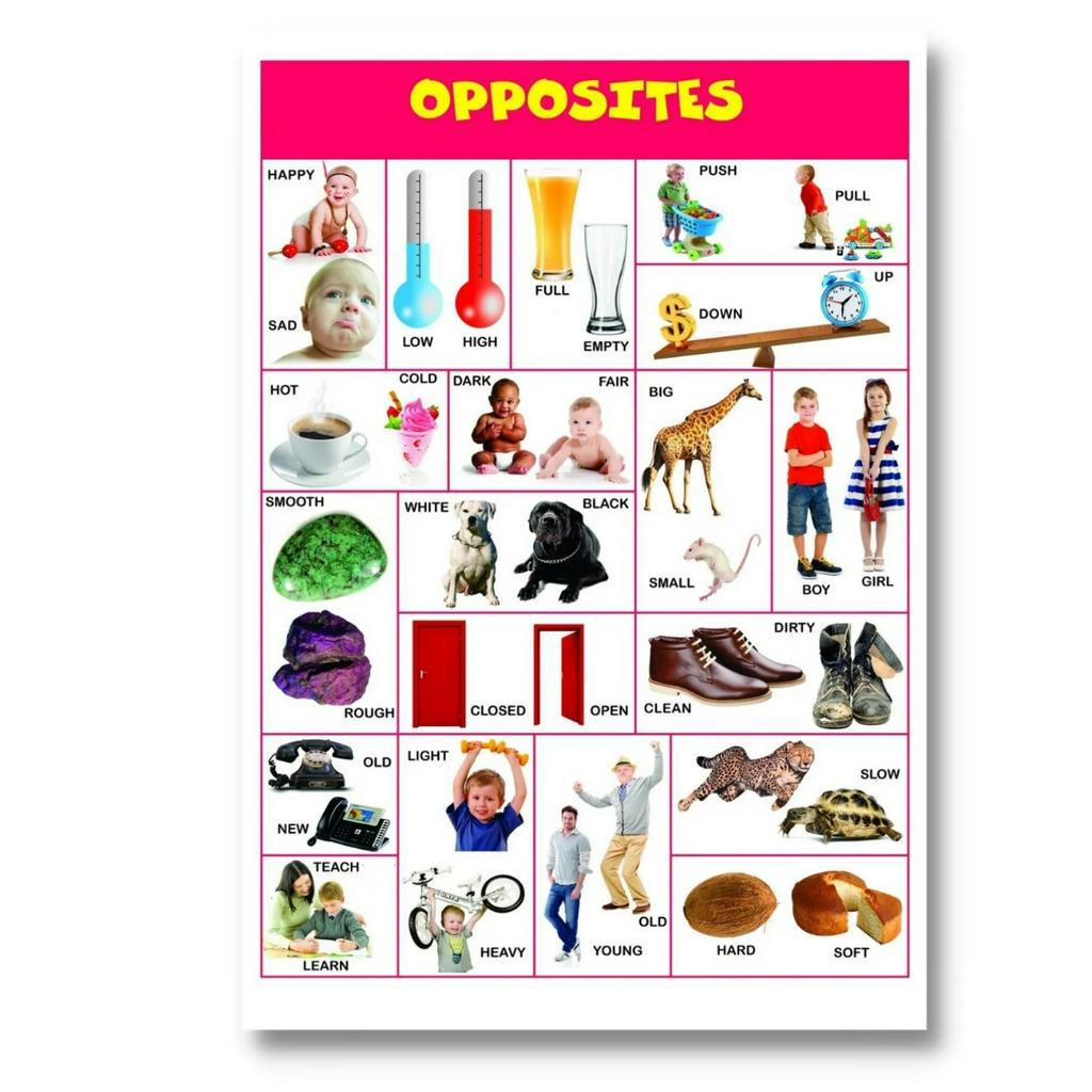 Laminated Opposites Charts, Educational Charts, Antonyms Charts for ...
