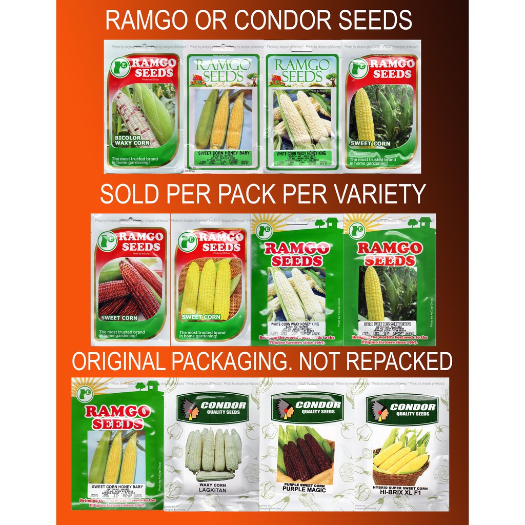 Ramgo or Condor White, Sweet, Purple, BiColor, Hybrid Corn Sold per ...