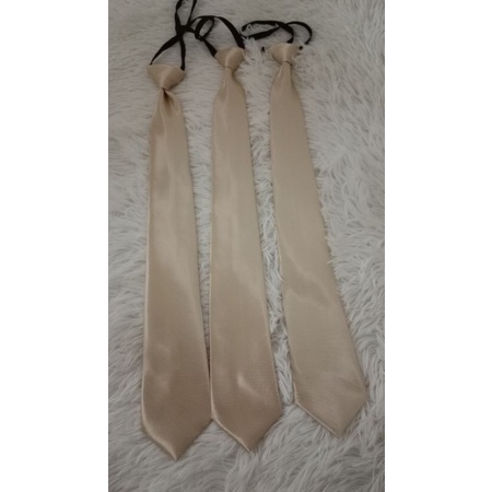 Beige Necktie for wedding, formal occasion | Shopee Philippines