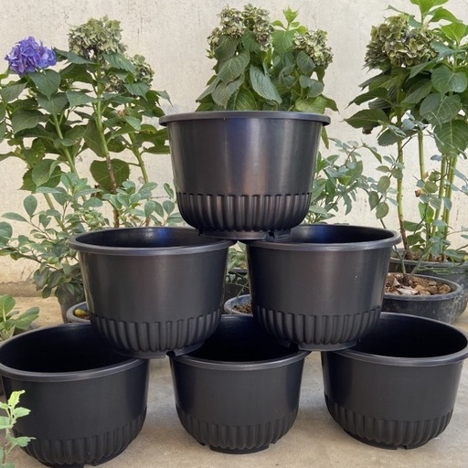 FAMILIFE 6pcs 8"x5" Colored Plastic Round Flower Pots Indoor and ...