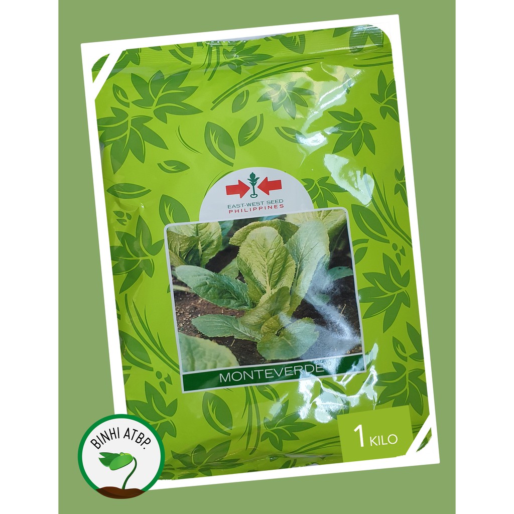 East-west Mustard Monteverde (Mustasa) Seeds (1 Kg Pack) | Shopee ...