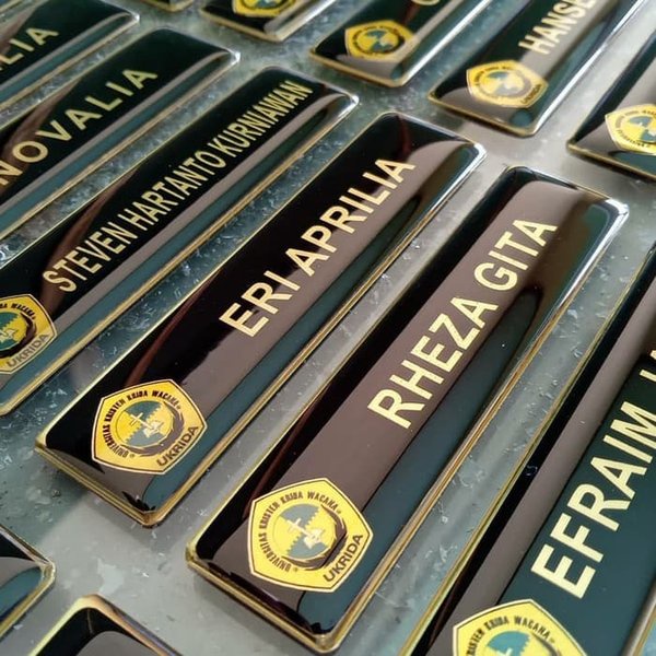 Chest Name Plate Name Tag Brass Magnet Plate and Cool Resin Coating Pin ...