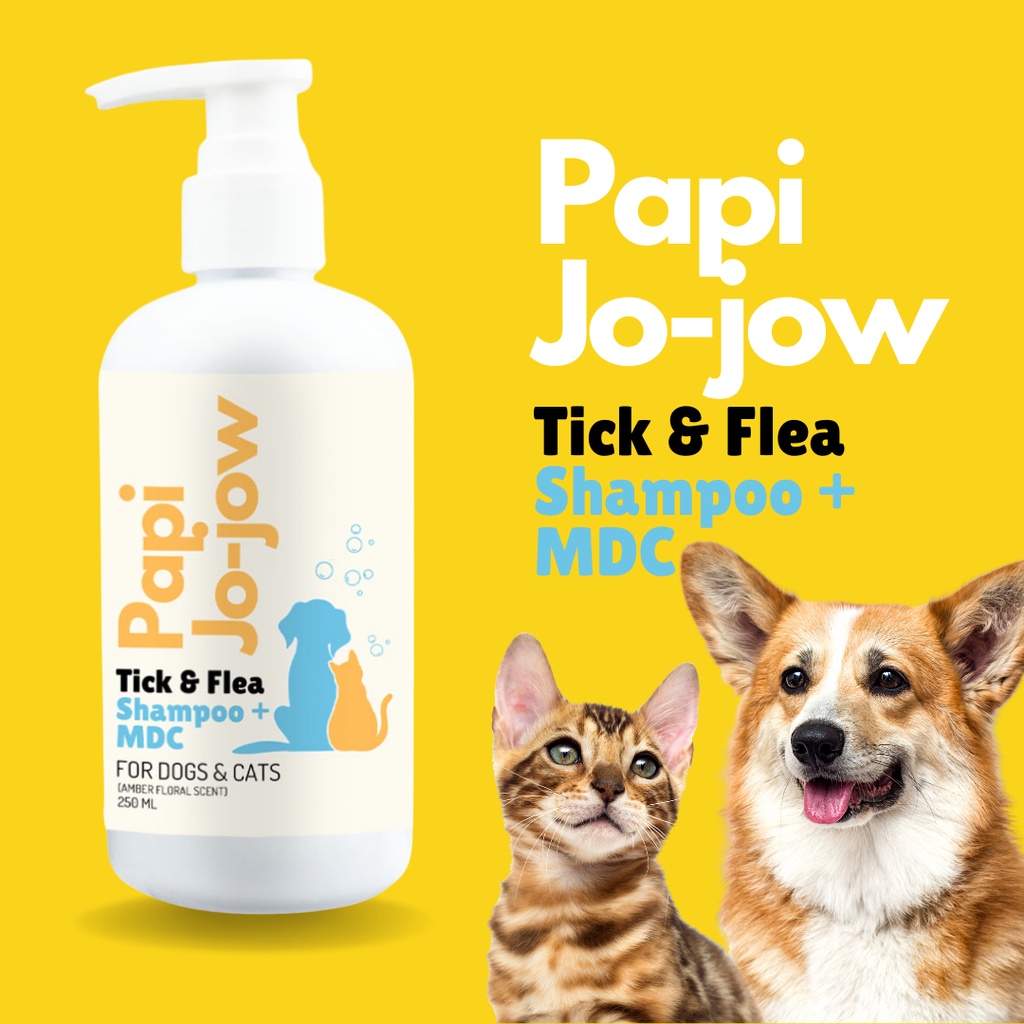 Papi Jo-Jow Tick & Flea Shampoo + MDC for Dogs and Cats Amber Floral ...