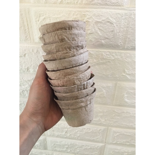 10pcs Paper Pulp Pot / 100% Biodegradable | Shopee Philippines