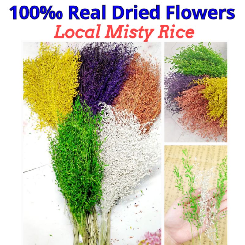 Dried Flower Misty Rice (Local) BUNDLE for Decoration, Resin Art, DIY ...