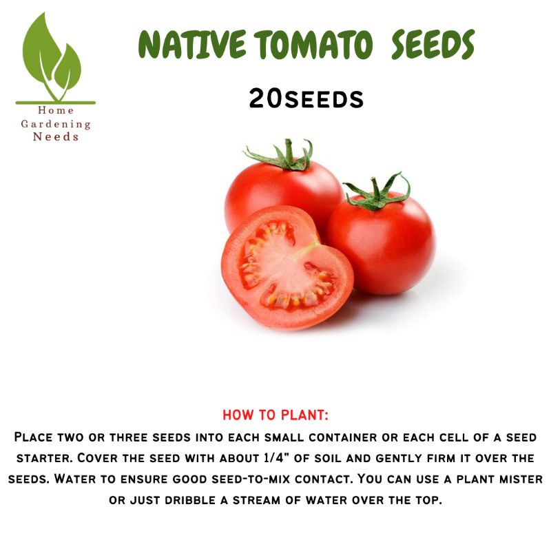 TOMATO NATIVE SEEDS - (20pcs) | Shopee Philippines