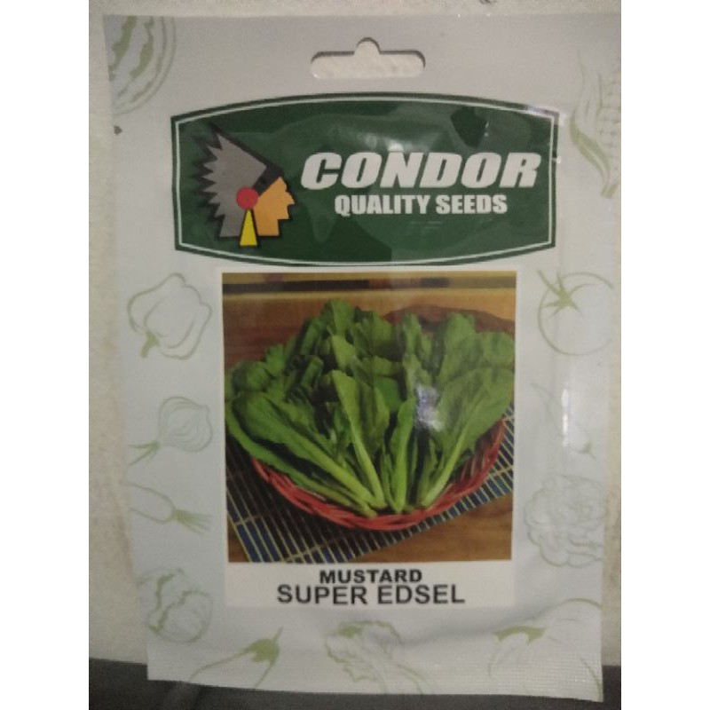 CONDOR SEEDS Pechay,Sitaw,Mustard,Okra,Bell Pepper,Upo,Talong,Onion ...