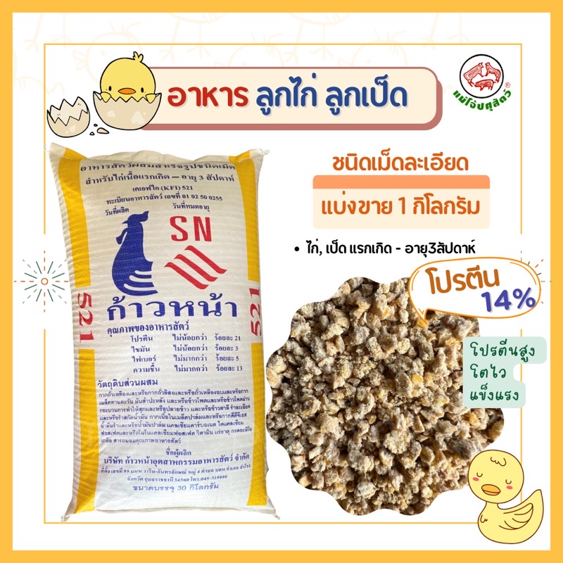 Small Chicken Food Duck 1kg | Shopee Philippines