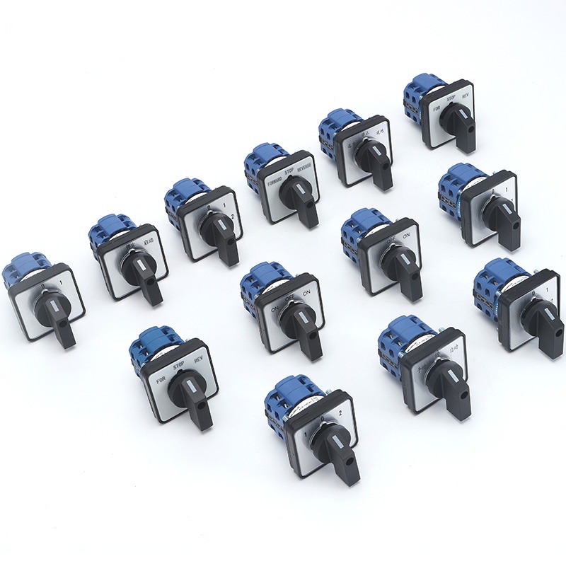 Szw26 / lw26-20 64X64mm 48X48mm Panel Mount 20A 660V 2 Pole 8 Screws ...