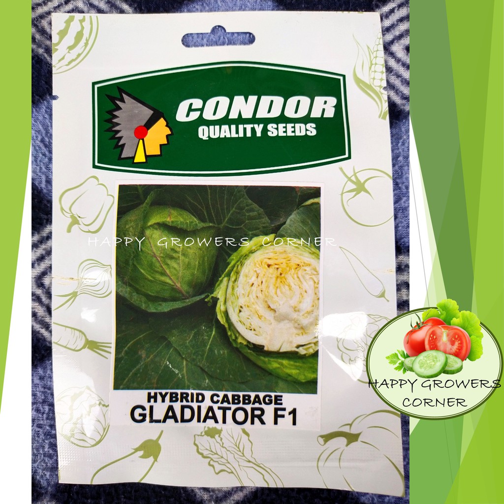 CABBAGE GLADIATOR F1 HYBRID (1 GRAM) CONDOR SEEDS | Shopee Philippines