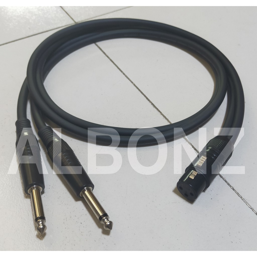 XLR Female to 2 PL-55 Connector (1 Meter CableX2) | Shopee Philippines