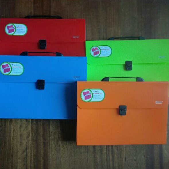 Accordion Expanding File Envelope with handle & 13 pockets - plain ...