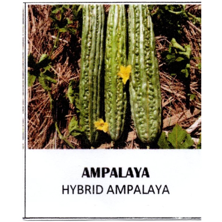 Ampalaya seeds ( per pack) | Shopee Philippines