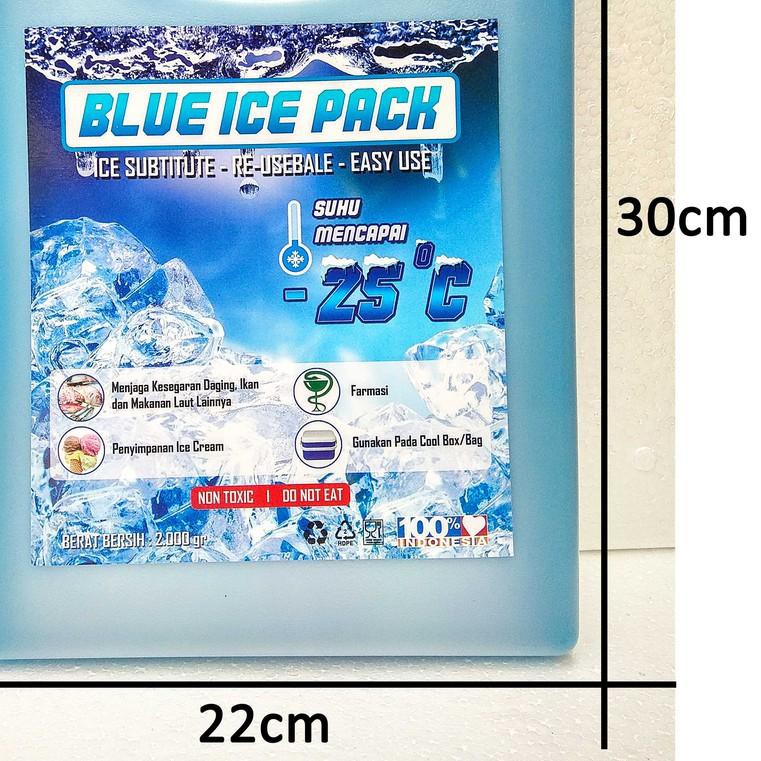 Large Ice Pack Blue Ice Pack Large Square Replacement Dry Ice Cubes ...